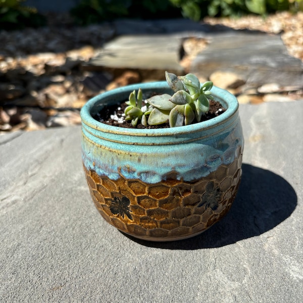 Honeycomb Bee Succulent Planter: Handmade Pottery, Mustard & Seafoam - Etsy