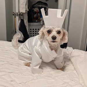 Dog Cinderella Costume Cinderella Dog Halloween Costume Pet - Etsy