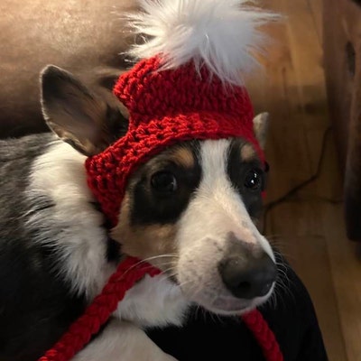 Corgi Beanie Dog Beanie Corgi Hats Dog Hat Dog Beanie Fur Baby Beanies ...