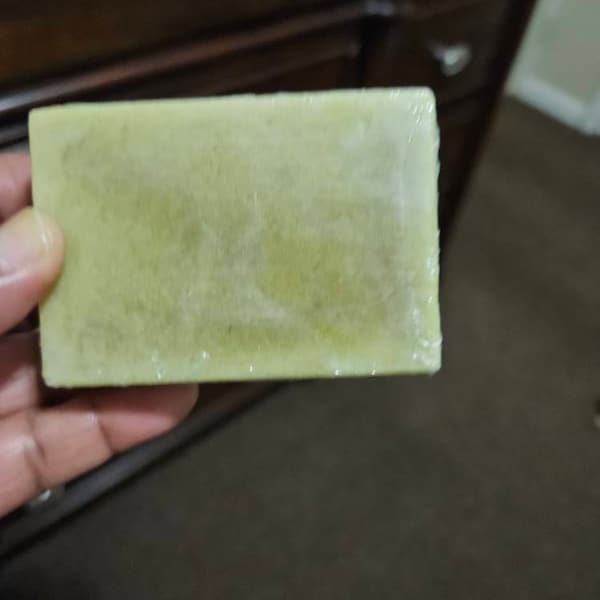 Moringa Soap With Vitamin E Oil and Shea Butter, Moisturizing Soap for ...