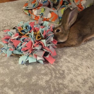 Seagrass Enrichmat™ Snuffle Mat Foraging & Enrichment Mat Well Kept ...