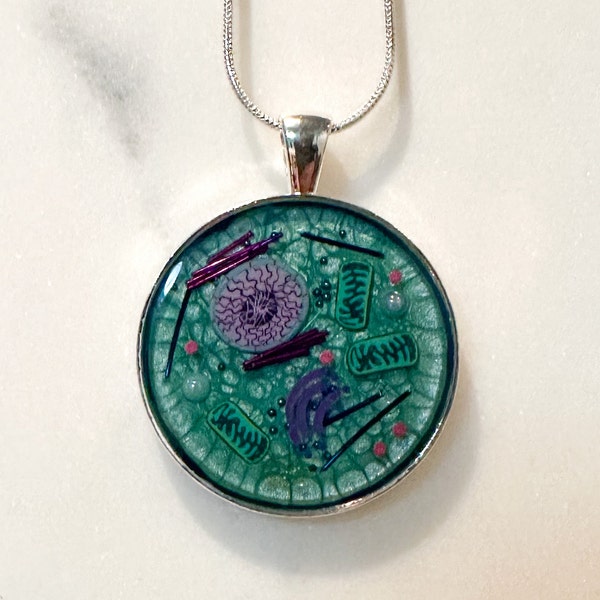 Plant Cell Key Chain - Key Ring - Cell Biology, Biology Gift, Key Chain ...