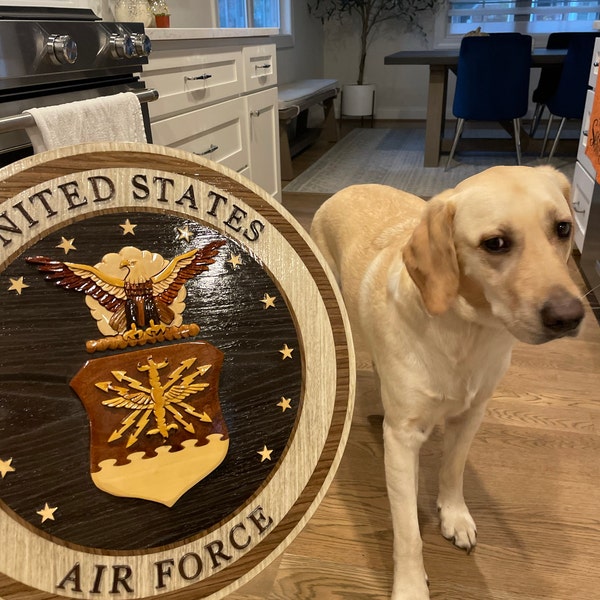 U.S. AIR FORCE EMBLEM Wood Art Plaque - Etsy