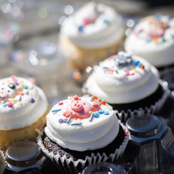 FARM ANIMALS BARNYARD Assortment - 12 or 24 Pieces Cupcake / Cake ...