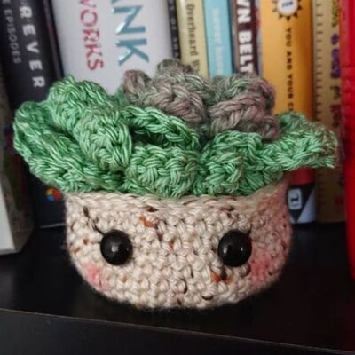 Rosette Succulent Coaster Set - Etsy