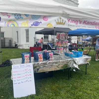 Printed and Shipped Perfectly Posh Tent Banner, Vendor Banner ...