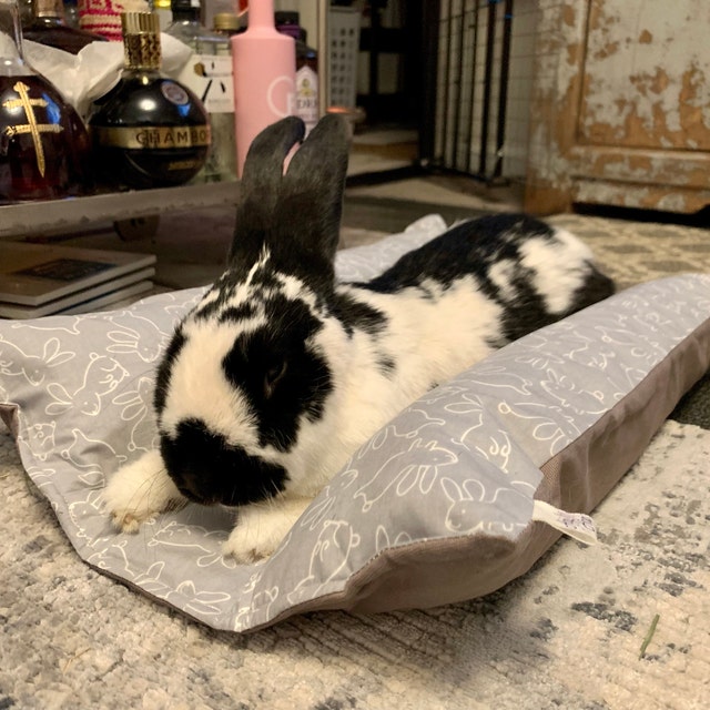 The Original Hop n' Flop® burrow bed for rabbits by HopnFlopShop