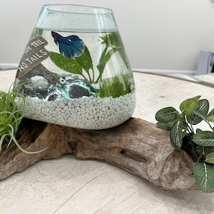 Molten Glass & Gamal Root Patterned Flower Vase With LED Light - Etsy