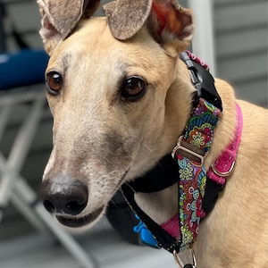 Key Fob, Matching Dog Collar Key Fob, Key Chain Wristlet, Key Holder ...