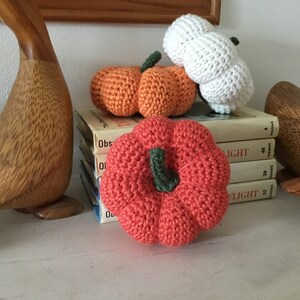 Partridge in a Pear Tree Crochet Pattern / Crochet Partridge | Etsy