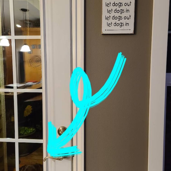 Sign for Dog / Dogs Owner, Let Dog in Let Dog Out, 7" X 12" Wood Sign ...