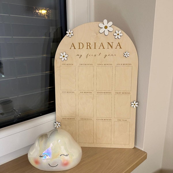 My First Year Teddy Bear Photo Board, Boho Retro One Year of Photo ...