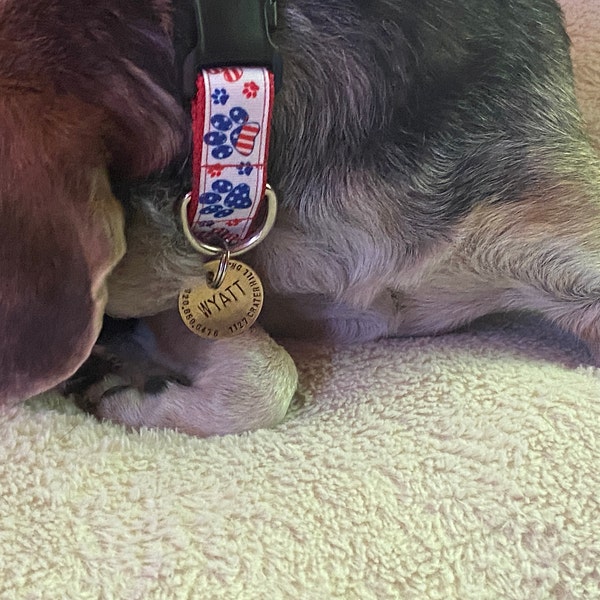 Custom Dog Tag / Custom Pet ID Tag - Lucy - in 1.25'' Domed Bronze ...