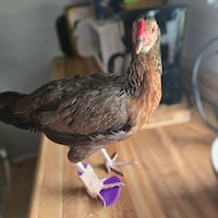 Duck Splint-customized to Your Size Needed SINGLE SPLINT - Etsy