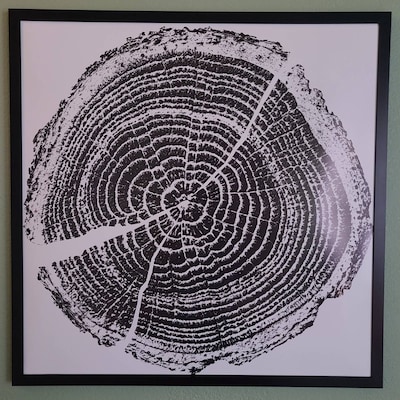 TREE RING ART Print, Tree Ring Print, Set of 6 Prints, Log Print Tree ...