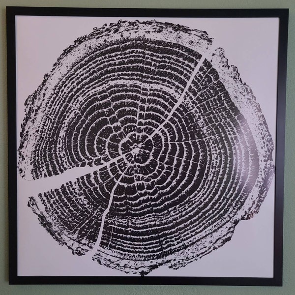 TREE RING ART Print, Tree Ring Print, Set of 6 Prints, Log Print Tree ...
