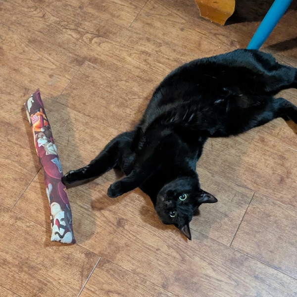 15" Interactive Catnip Kitty Kick Stix Potent Catnip Made in USA ...