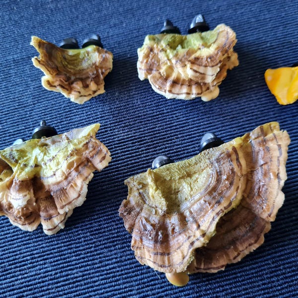 Celtic Necklace-folklore,pagan,cosplay,larp,wearableart,darkvibe ...