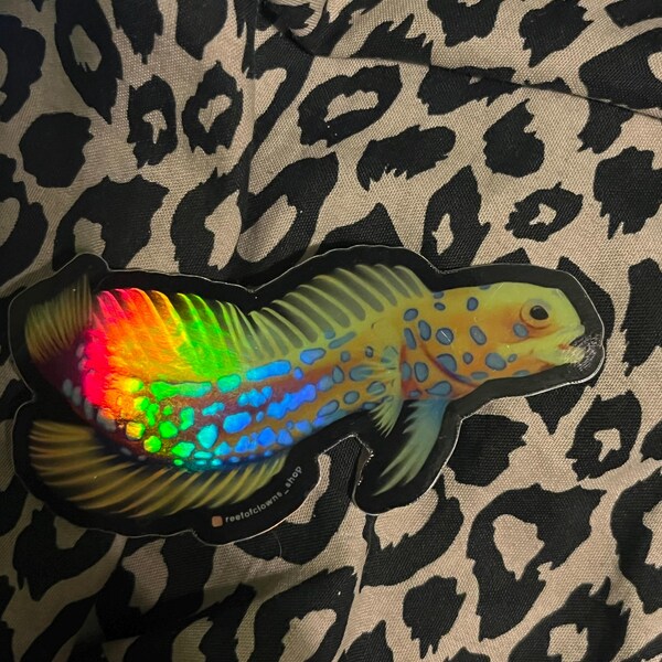 Sunshine Pleco Sticker (holographic) | Fish Art Sticker | Aquarium Art ...