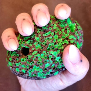 Your Color Choice - DIY Picky Party Picking Pumice Stone Kit - 2 Stones ...