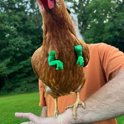 3D Printed Chicken Arms Velociraptor T-rex Dinosaur Arms Various Colors ...