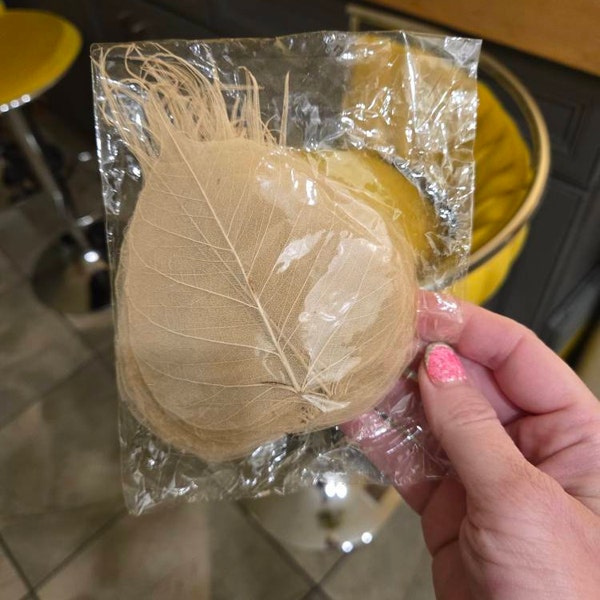 Orange Preserved German Statice, Limonium Dried Flower, Crystal Flowers ...