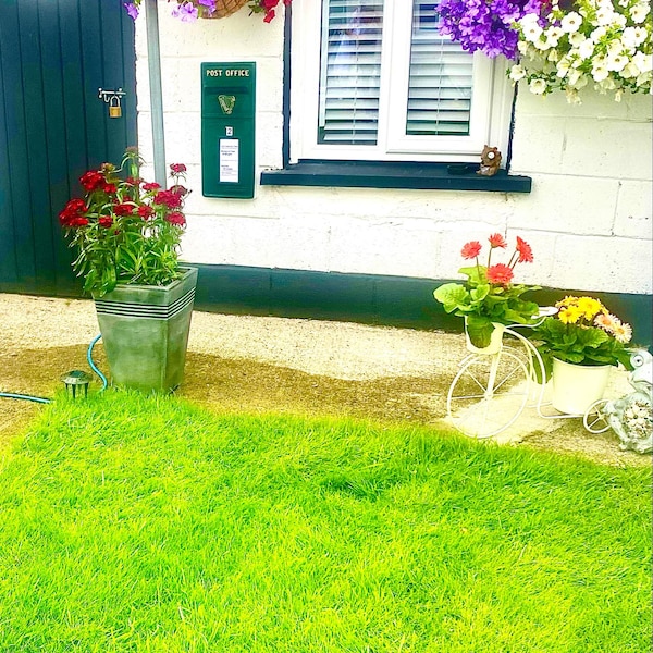 Cast Iron White ER Post Box Mailbox Letterbox - Etsy