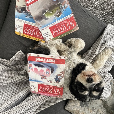 Un-official Handmade Fallout 4 COMPLETE SET of Hot Rodder Magazines ...