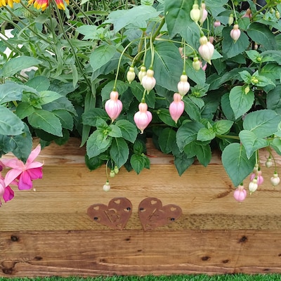 10 Rusty BAR Sign Classic Font Letters Metal Word Rustic Vintage Garden ...