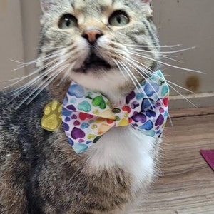 Small Dog Bow Tie Playing Card Pips Pet Collar Accessory - Etsy