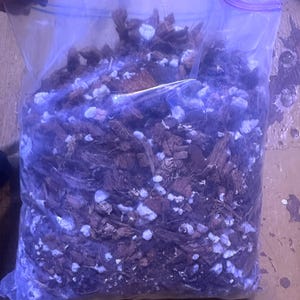 Akadama Substrate for Aroids, Terrariums, Bonsai, Cuttings 16oz - Etsy