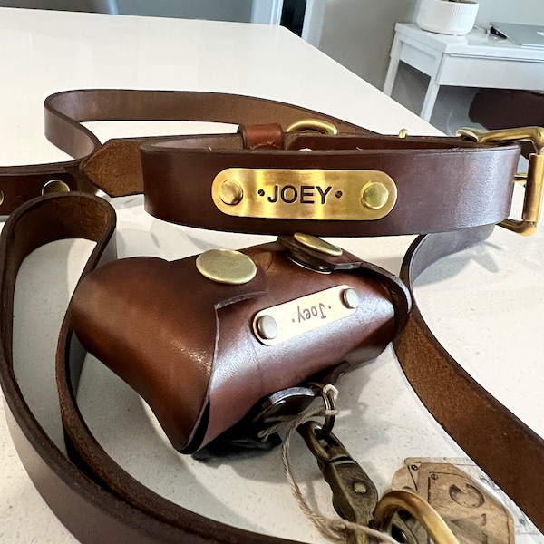 Personalized Leather Dog Leash: Handmade Full Grain With Brass Name ...