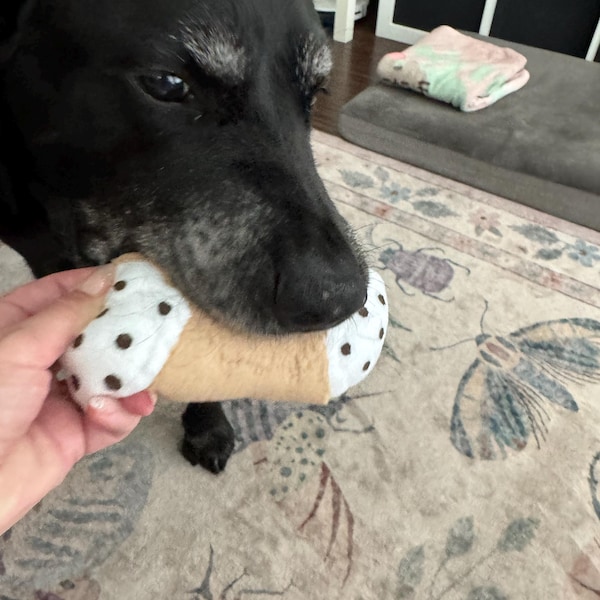 Squeaky Gavel Dog Toy - Etsy