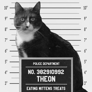 Custom Mugshot Pet Portrait Personalized, Funny Gift, Criminal Pet, Cat ...