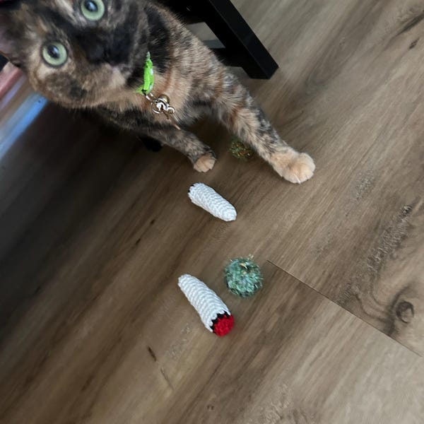 Catnip "nug" Cat Toys - Etsy