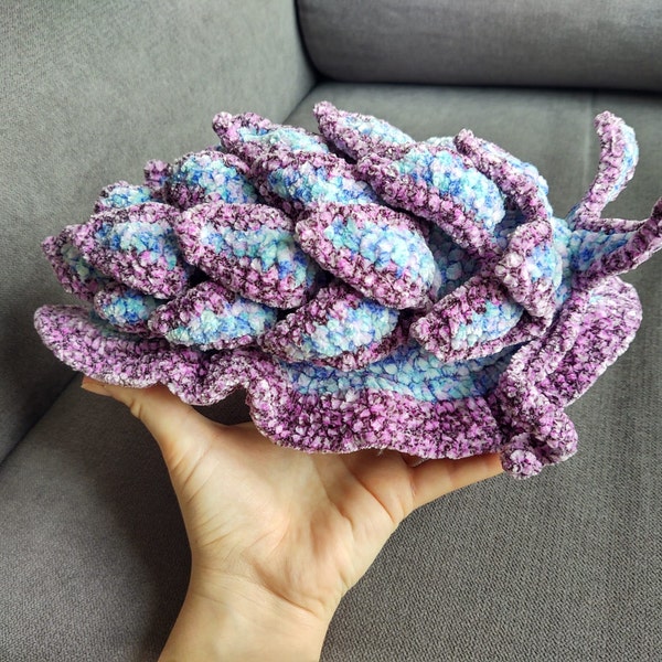 Nudibranchs Sea Slugs Set 1 Crochet Pattern by Crafty Intentions ...