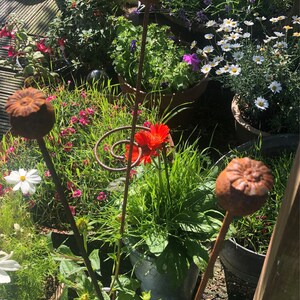 Set of 3 Rusty Poppy Seed Head Pattern Naturally Rusting Ornamental ...