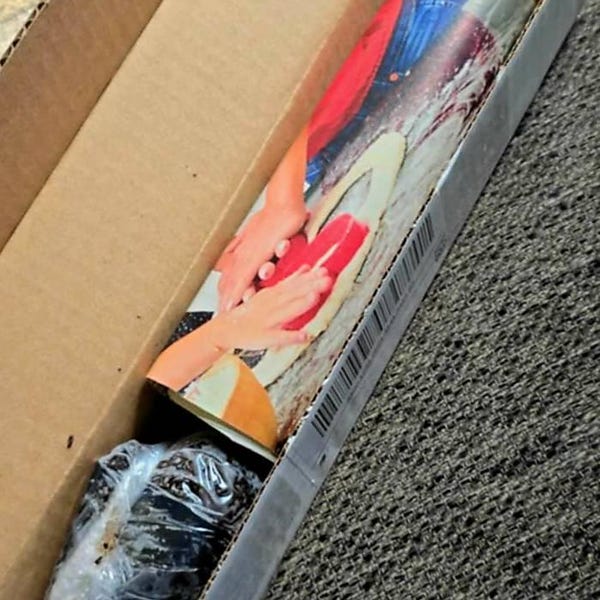 Athens Blue Princess Glory Bush Plant~~tibouchina Urvilleana~small ...