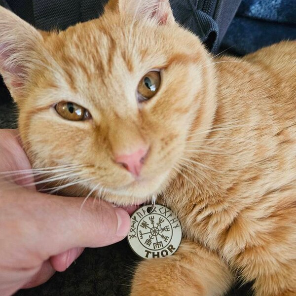 Norse Runes Pet Tag: Viking Inspired Stainless Steel Dog Cat Collar - Etsy