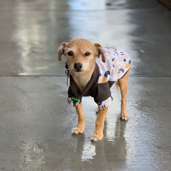 Beaded Fish Earrings, Sockeye Salmon Earrings, Rainbow Trout Earrings ...