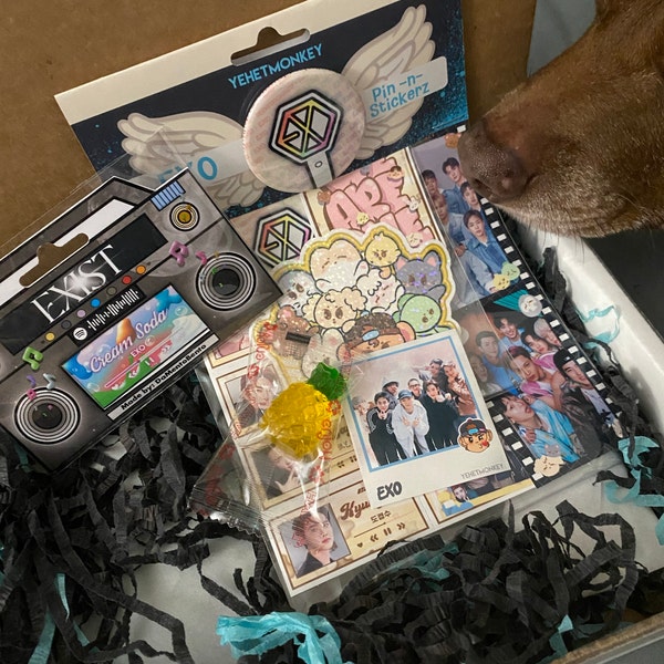 Kpop Groups Cassette Journal Stickers With Music Scan Code INDIVIDUAL ...