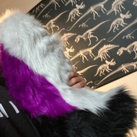 DIGITAL Tiger Tail Pattern for Fursuits & Cosplay PDF - Etsy Canada