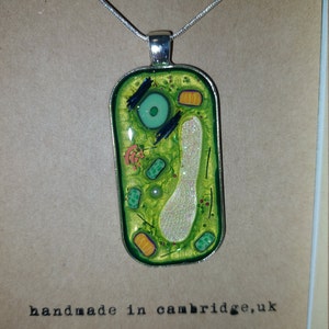 Plant Cell Key Chain Key Ring Cell Biology Biology Gift - Etsy