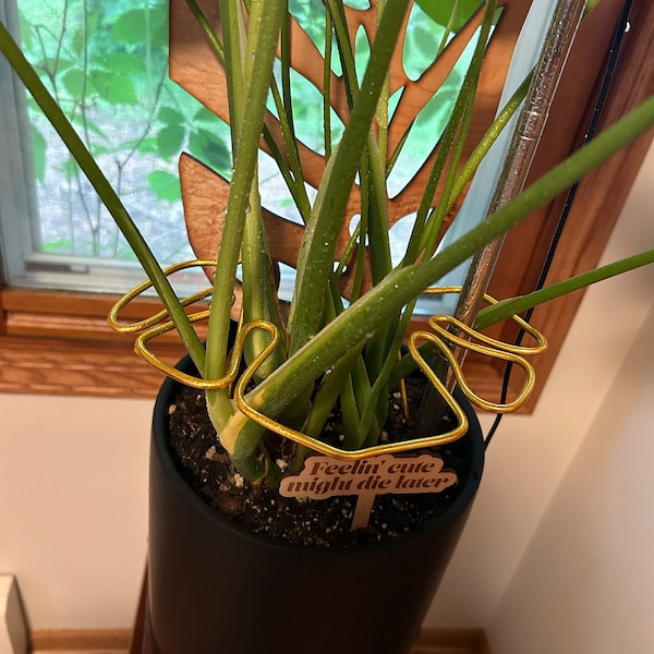 Monstera Shaped Plant Support Gold Coloured - Etsy