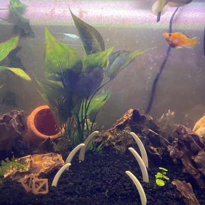 Aquarium/terrarium Cliff Decoration Cliffside Design for - Etsy