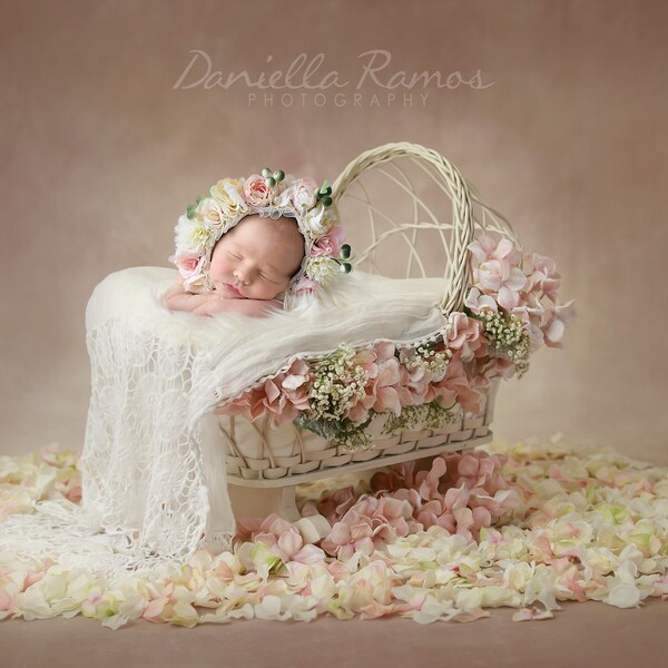 Digital Backdrop, Background Newborn Baby Girl Pink Flowers Peach Cream ...