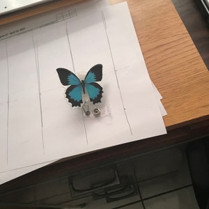Luna Moth Phone Grip-rare Butterfly Phone Stand-monarch-swallowtail ...