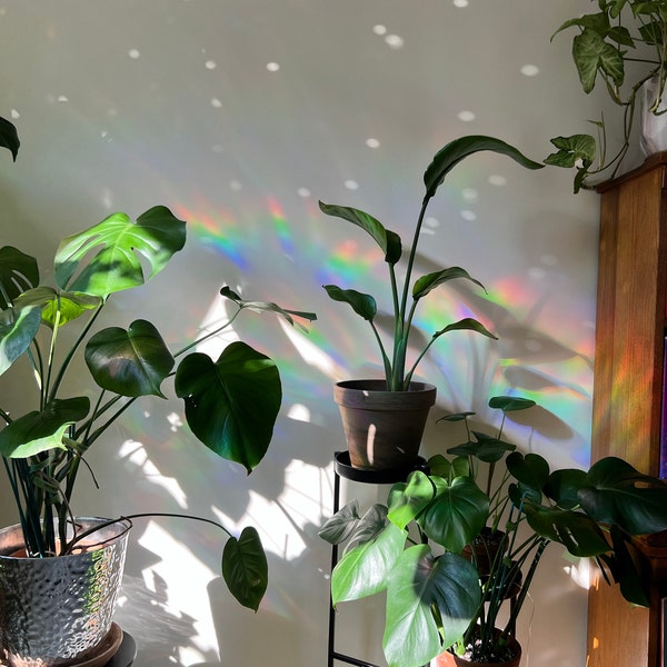 Suncatcher Sticker for Windows, Window Sun Catcher Film, Rainbow Maker ...