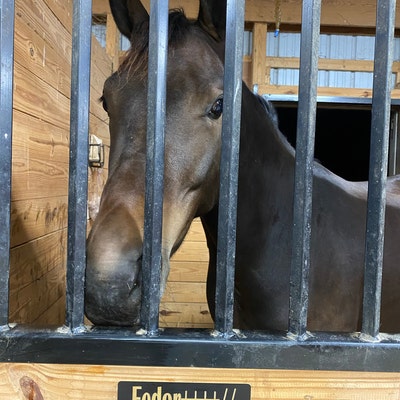 Stall Name Plate Slider Set Aluminum Plates - Etsy