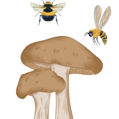 STEAM & STEM Posters for Science, Technology, Engineering, Art, Math ...